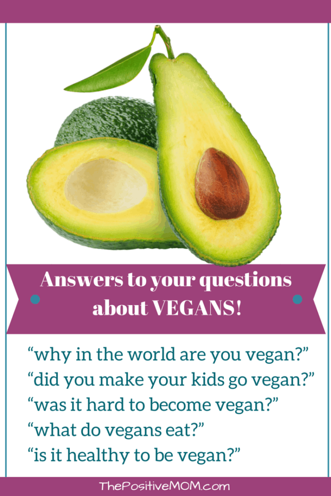 Why in the world are you vegan? + other questions answered!