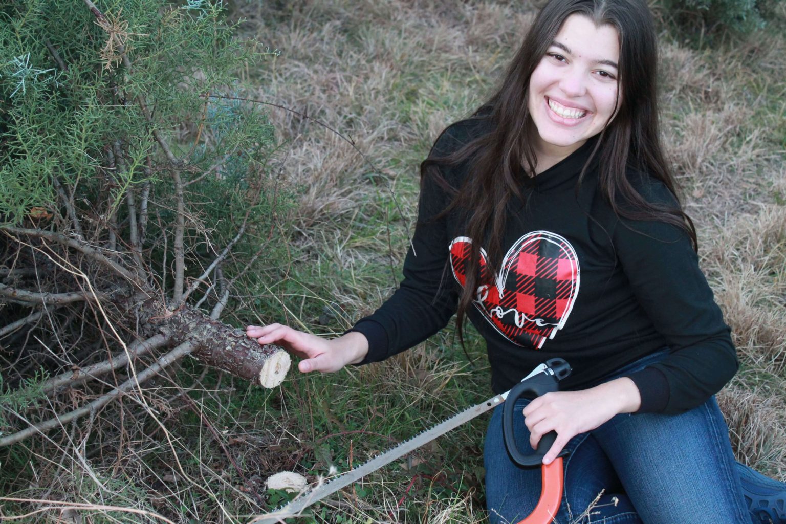 How To Have The Best Christmas Tree Cutting Experience