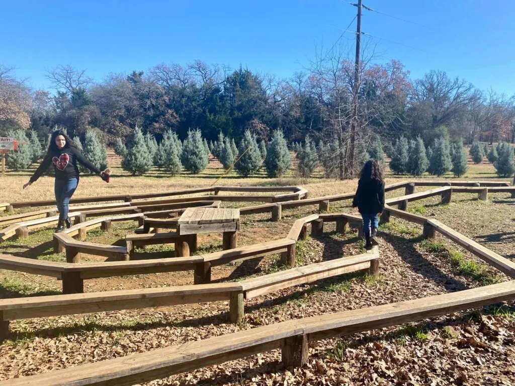 How To Have The Best Christmas Tree Cutting Experience