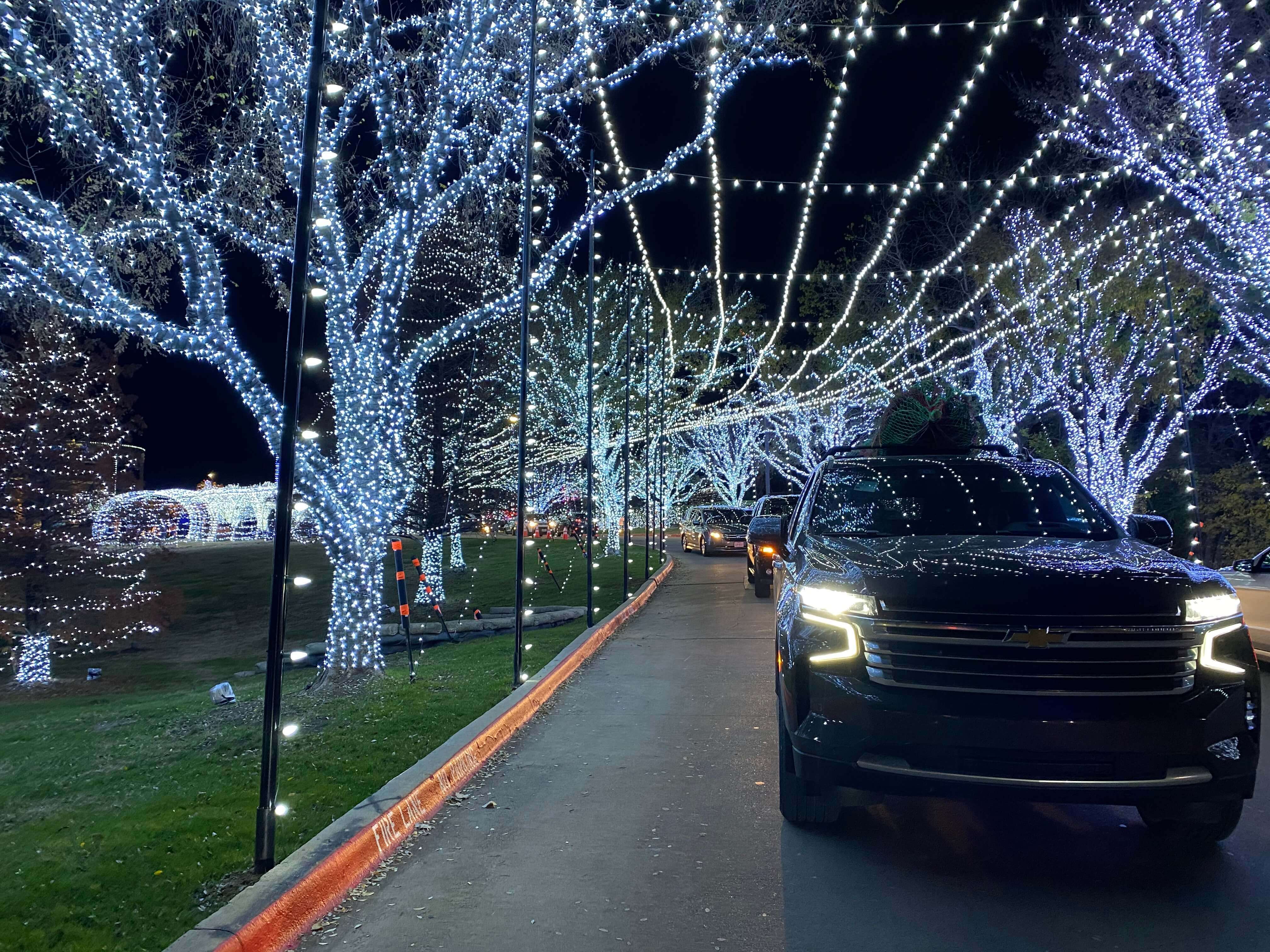 How To Have The Best Christmas Tree Cutting Experience