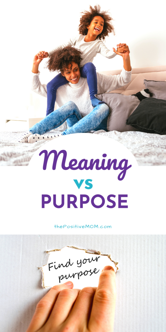 Meaning vs Purpose - How Are They Different?